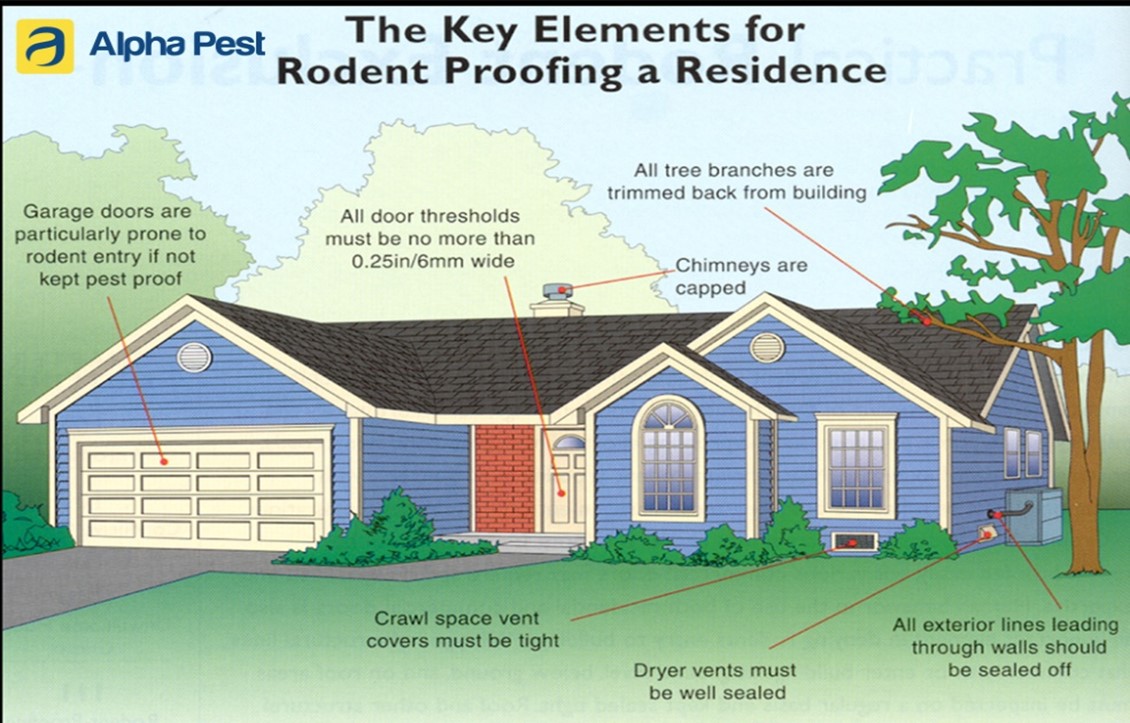 Important Notice!!! Leptospirosis Alert and Rodent Control Measures in ...